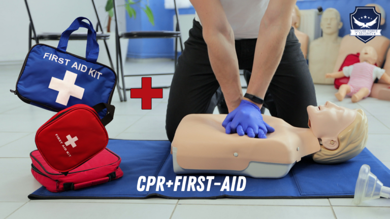 secure force service – Best Security Service and Training